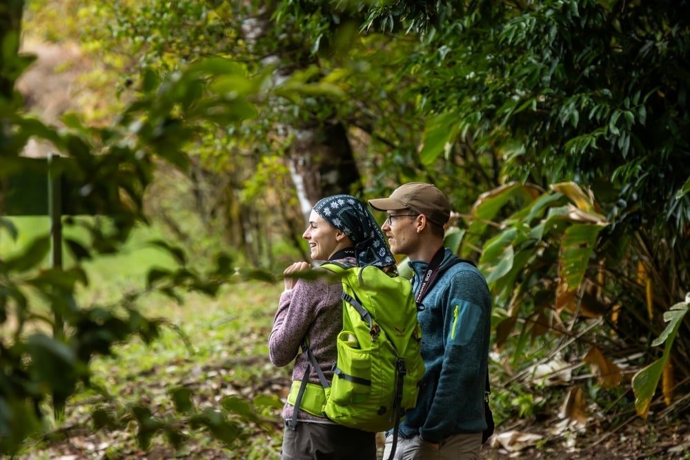 3 destinos del sur de Chile que son ideales para vacacionar en verano ...
